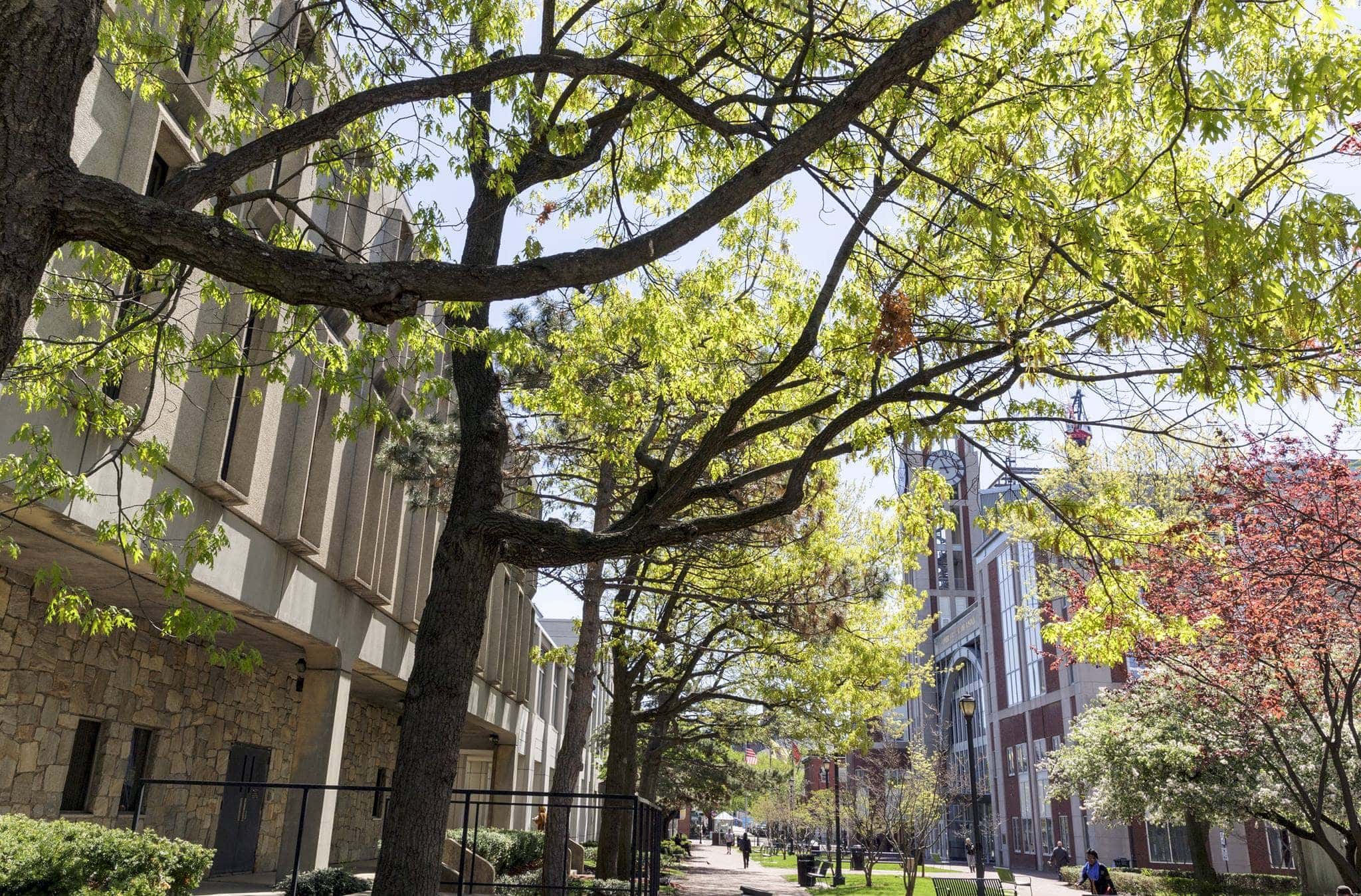 Rutgers University-Newark