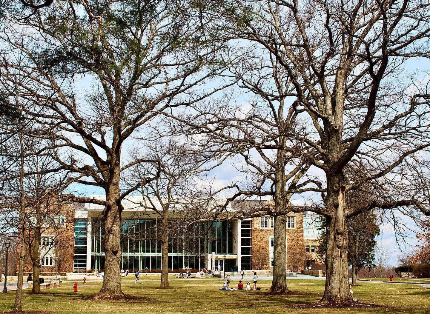 Hamilton College | College of Distinction