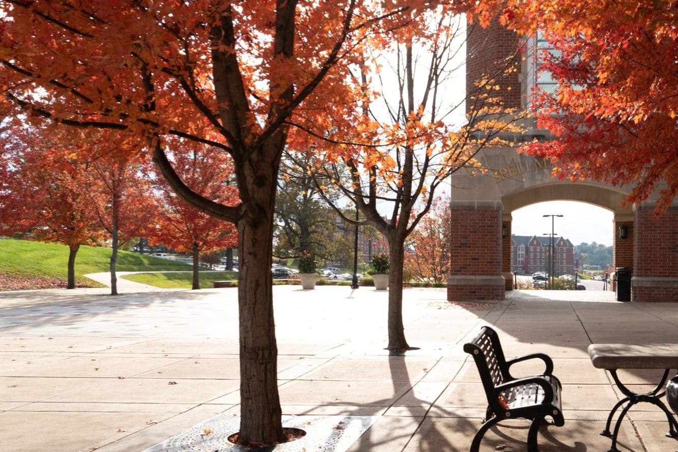 College Campuses with Picture-Perfect Fall Foliage