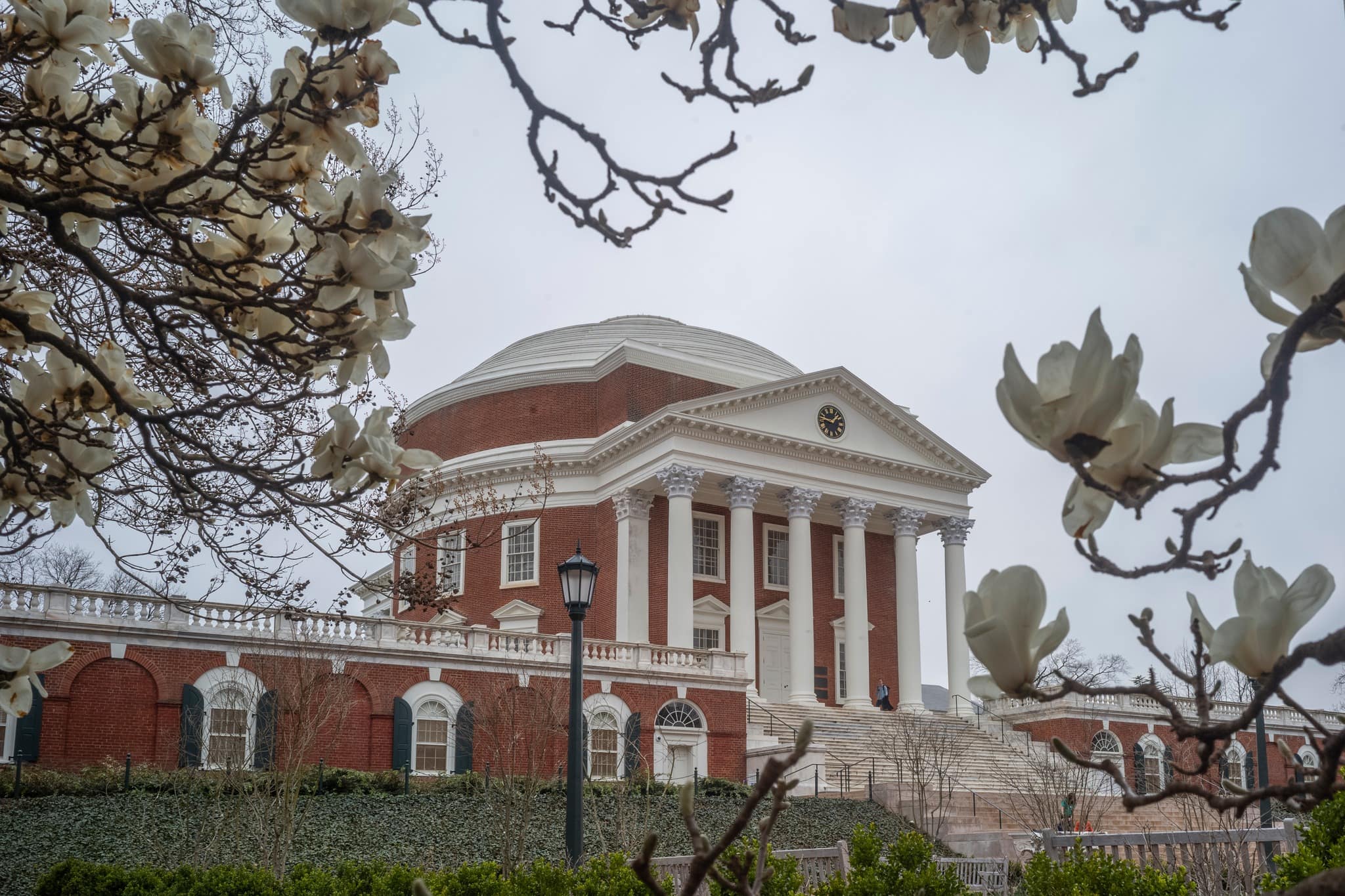 University of Virginia | College of Distinction