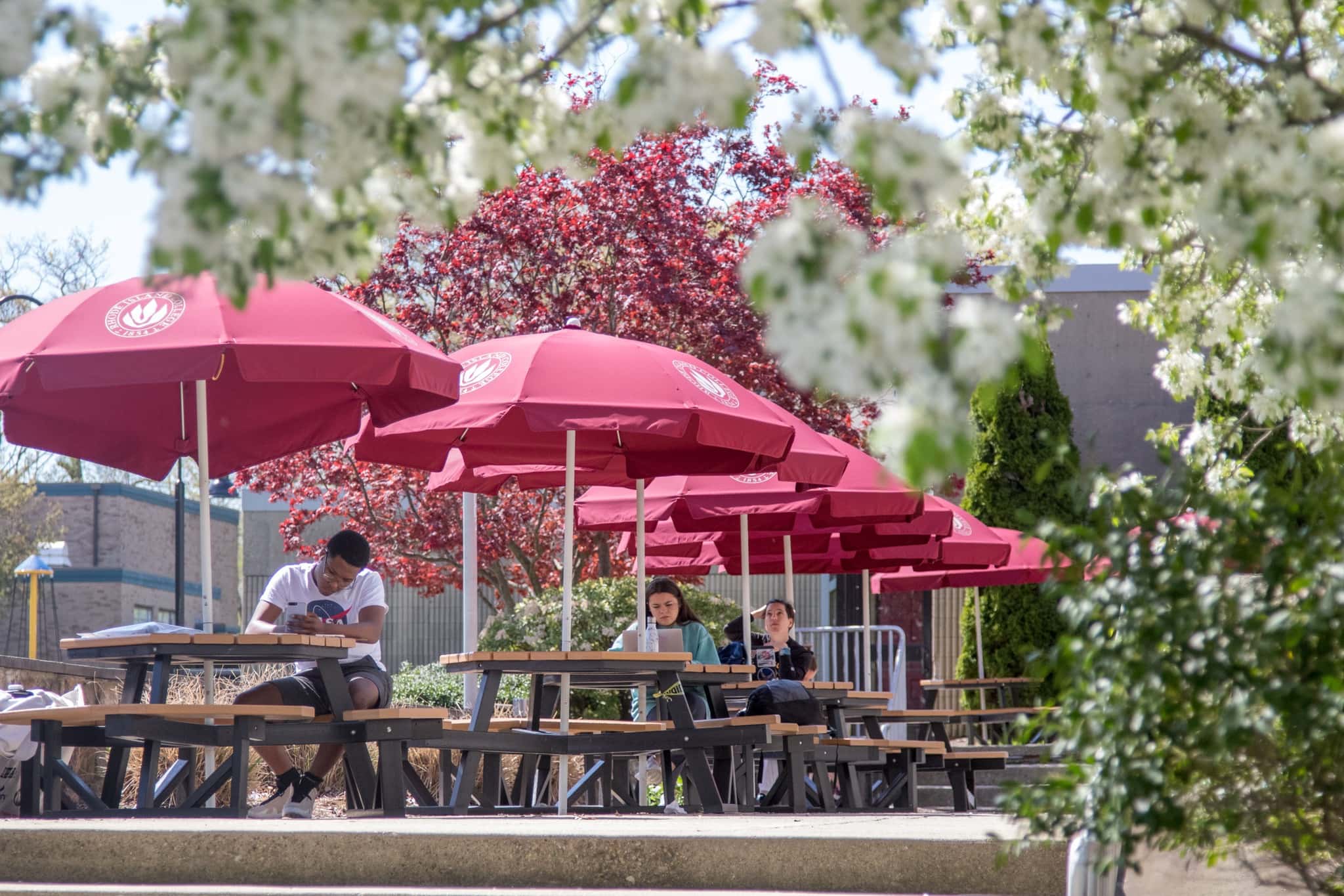 Rhode Island College | College of Distinction